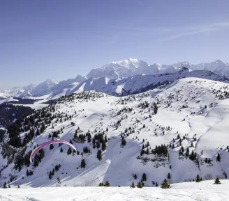 Le domaine skiable | Office de tourisme de Praz sur Arly